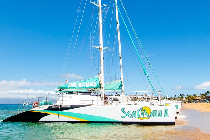 2.5 Hour Xpress Snorkel from Kaanapali Beach - What’s Included & What to Expect  