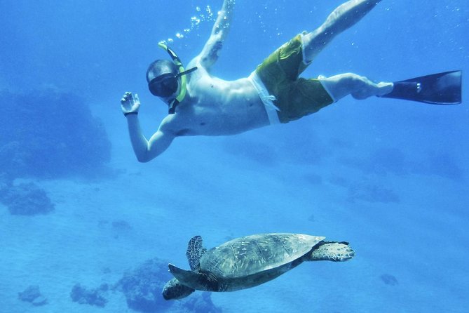 2.5 Hour Xpress Snorkel from Kaanapali Beach - Authentic Experiences & Real-World Insights