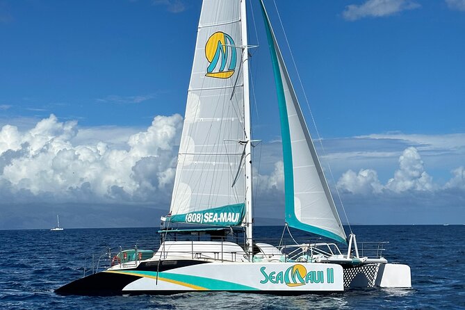 2.5 Hour Xpress Snorkel from Kaanapali Beach - Final Thoughts  