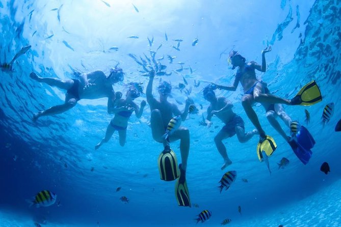 2.5 Hour Xpress Snorkel from Kaanapali Beach - Frequently Asked Questions (FAQs)  