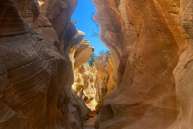 2.5hr Willis Creek/Sunset Tour Paria Valley - Why You Should Consider This Tour