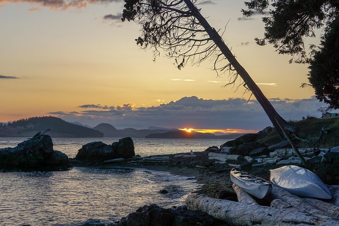 2-Day Fully-Catered Kayak Camping Trip in the San Juan Islands - The Itinerary Breakdown