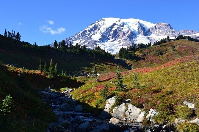 2 Day Mt Rainier All-Inclusive Small Group Tour - Who Is This Tour Best For?