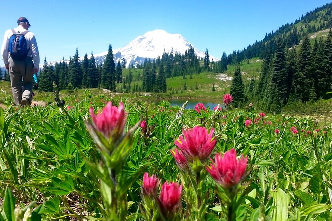 2 Day Mt Rainier All-Inclusive Small Group Tour - The Sum Up