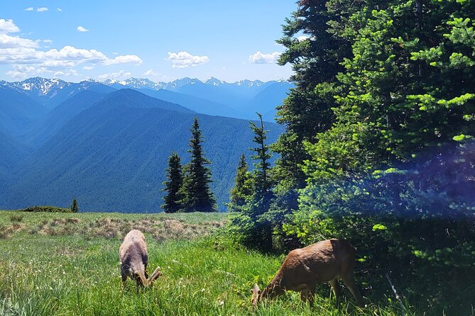 2 Day Mt Rainier All-Inclusive Small Group Tour - FAQ