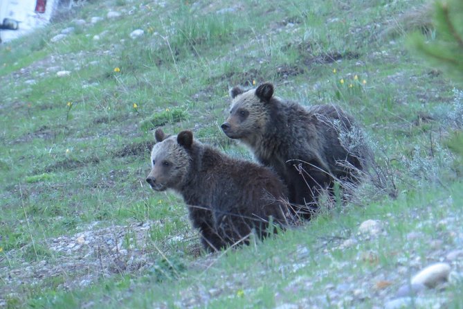 2-Day Private Tour of Yellowstone National Park Lower & Upper Loops - FAQs