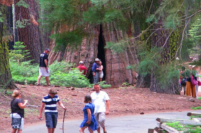 2-Day Private Yosemite Tour: Waterfalls, Sequoias and Glacier Pt - Transportation and Comfort