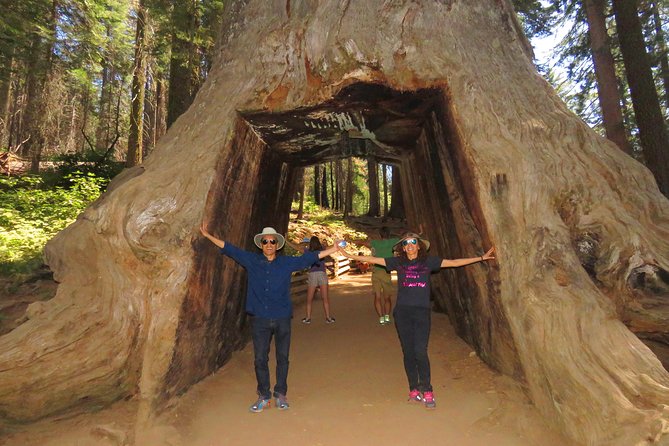 2-Day Private Yosemite Tour: Waterfalls, Sequoias and Glacier Pt - Authentic Experiences and the Guide’s Role
