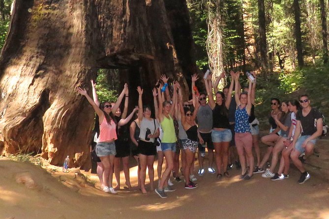 2-Day Private Yosemite Tour: Waterfalls, Sequoias and Glacier Pt - The Value of This Tour
