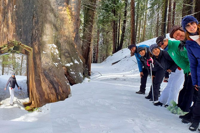 2-Day Private Yosemite Tour: Waterfalls, Sequoias and Glacier Pt - Who Will Love This Experience?