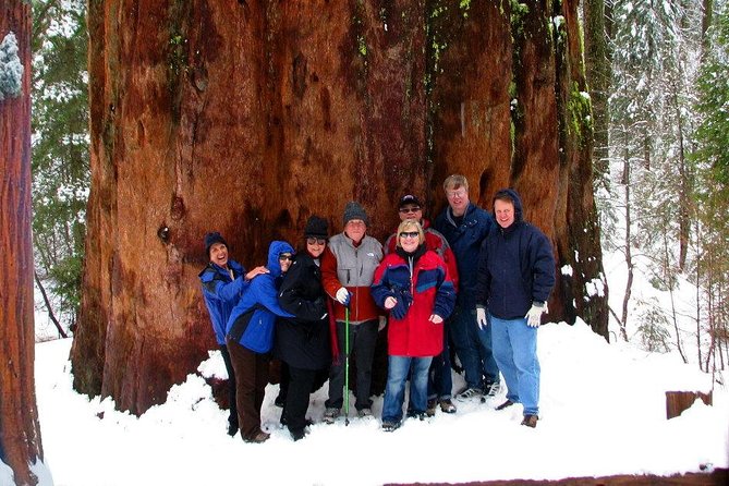 2-Day Private Yosemite Tour: Waterfalls, Sequoias and Glacier Pt - The Sum Up
