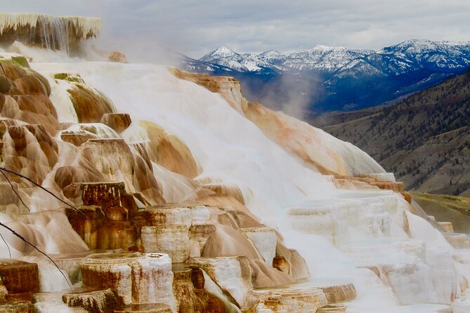 2-Day Yellowstone National Park Upper and Lower Loop Exploration - The Experience: A Deep Dive Into the Itinerary