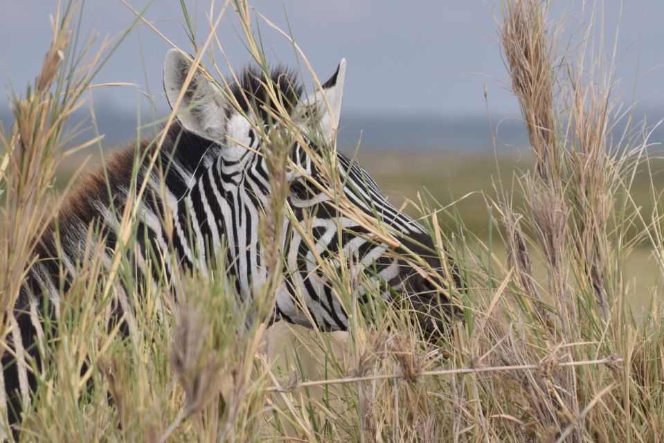 2 Days 1 Night Taita Hills - Exploring the Itinerary in Detail