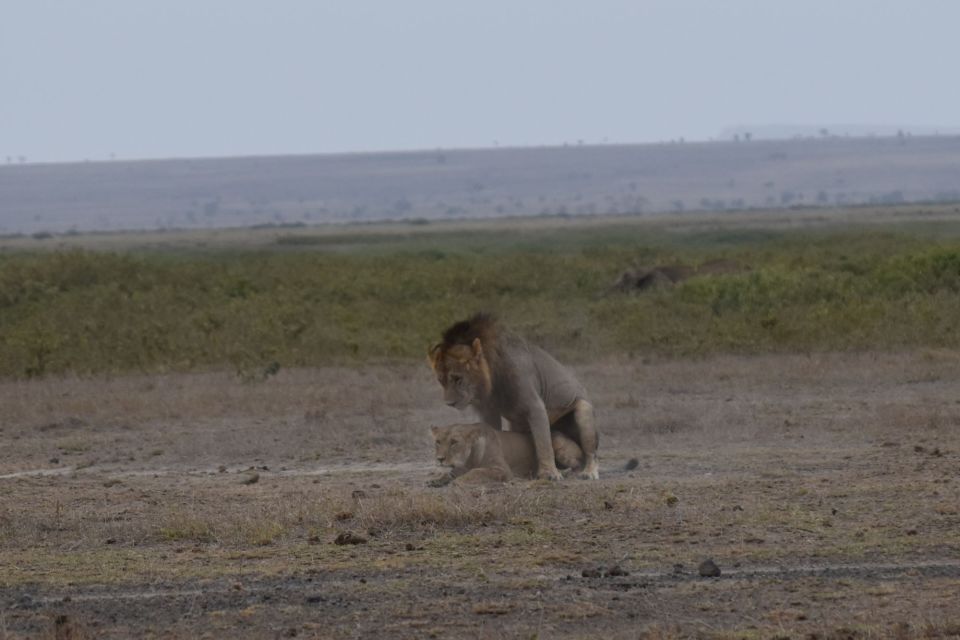 2 Days 1 Night Taita Hills - Guided Tours and Group Size