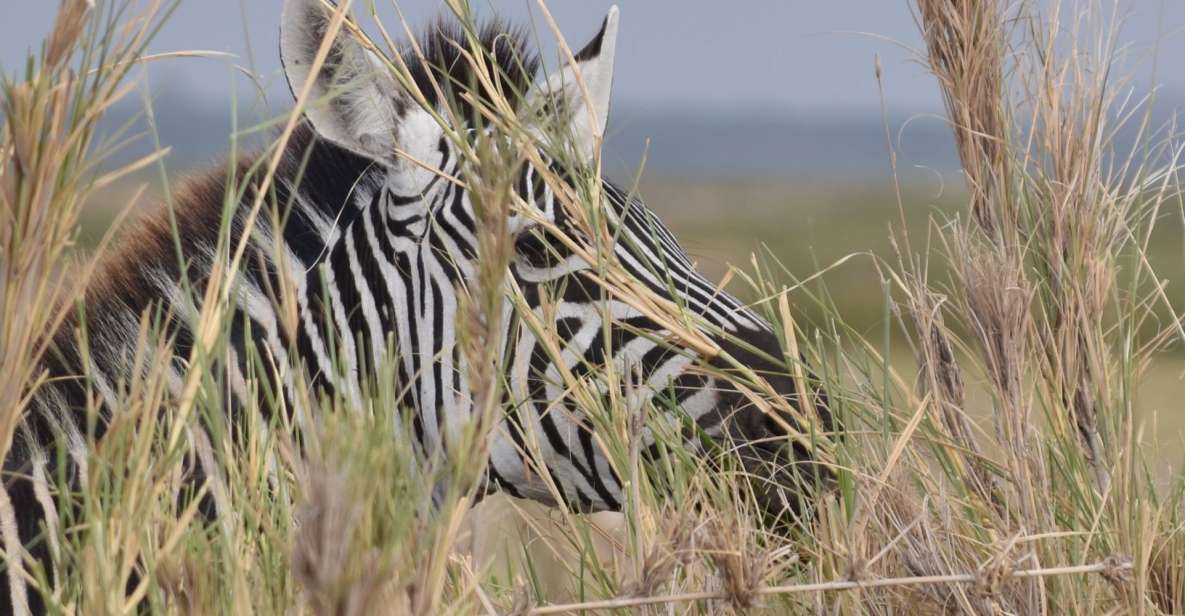 2 Days 1 Night Taita Hills - Who Should Book This Tour?