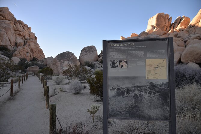 2-days Private Tour to Joshua Tree National Park from Los Angeles - An In-Depth Look at the Itinerary