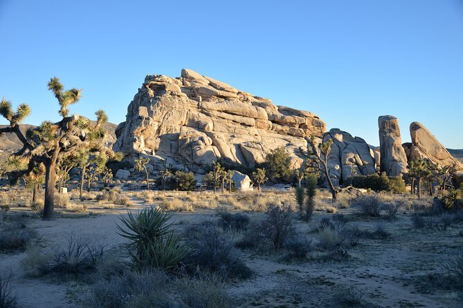 2-days Private Tour to Joshua Tree National Park from Los Angeles - Price and Value Analysis