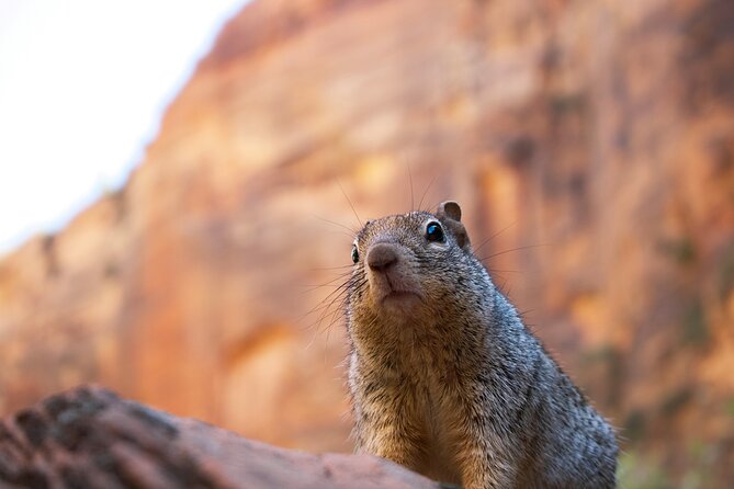 2 Days Zion and Bruce Canyon Tour with Hiking - An In-Depth Look at the 2 Days Zion and Bryce Canyon Tour