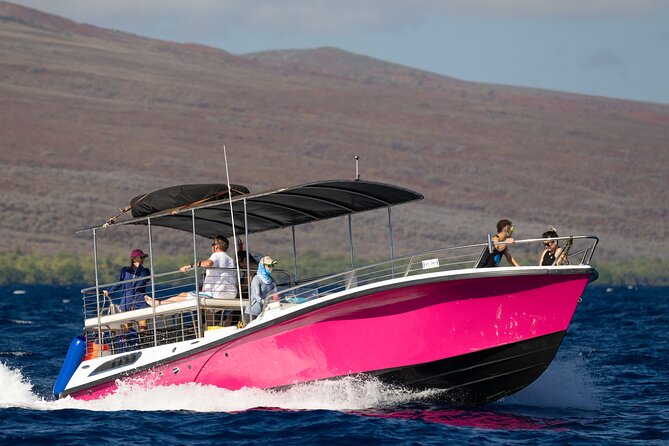 2 Hour Afternoon Lahaina Whale Watch - FAQ