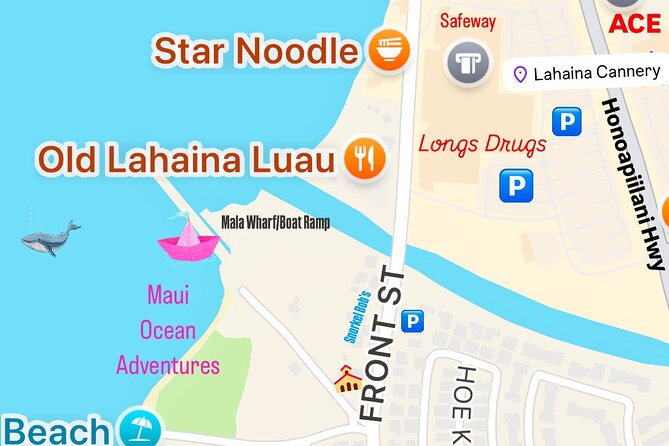 2 Hour Afternoon Lahaina Whale Watch - Final Thoughts