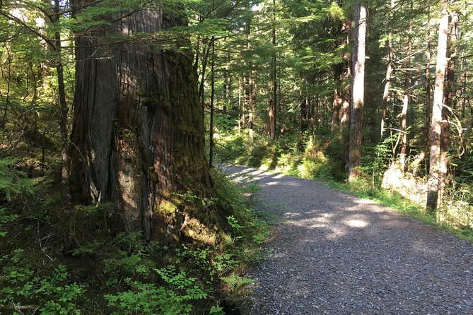 2 Hour Alaska Rainforest Walk and Totem Park Small Group Tour - Who Will Love This Tour?