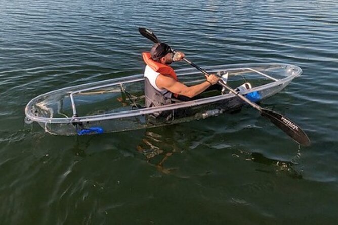 2-Hour Clear Kayak & Clear Paddleboard(SUP) Rental in Orlando - What to Expect from the Experience