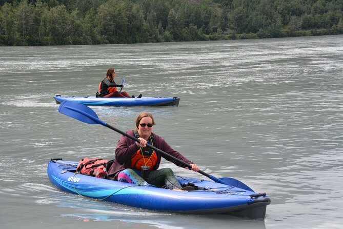 2 hour Discover Kayaking tour - Key Points