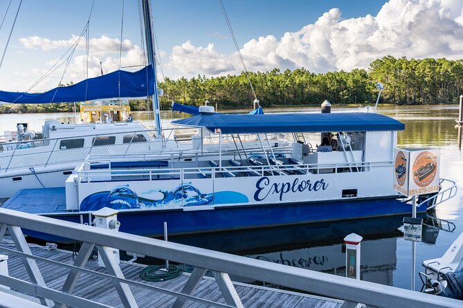 2-Hour Dolphin and Nature Eco Tour from Orange Beach - Value for Money