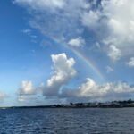 2-Hour Dolphin and Nature Eco Tour from Orange Beach - The Itinerary in Detail