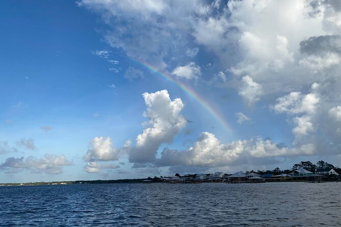 2-Hour Dolphin and Nature Eco Tour from Orange Beach - The Itinerary in Detail