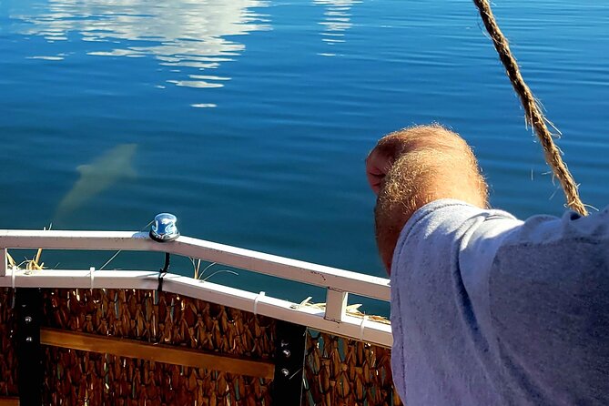 2 hour Dolphin Sightseeing Tour in Melbourne Florida - FAQs
