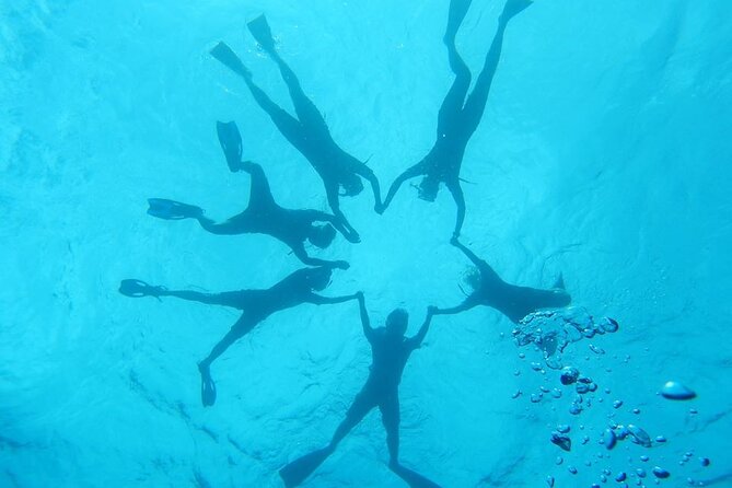 2-Hour Dolphin Watching and Double Reef with Snorkel in Hawaii - Pricing and Value