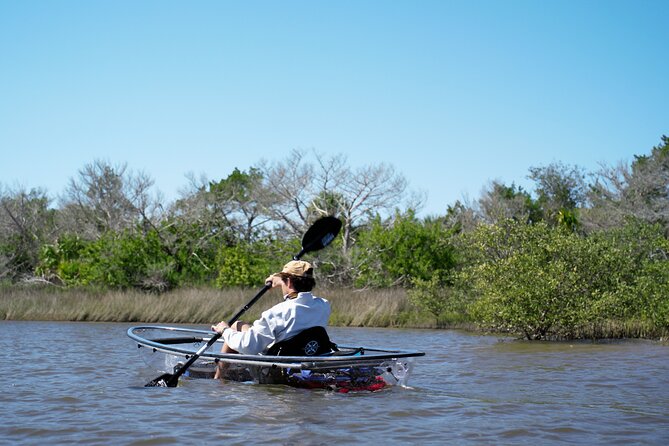 2-Hour Glass Bottom Guided Eco Tour in Flagler County-Small-group - Key Points