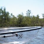 2-Hour Glass Bottom Guided Eco Tour in Flagler County-Small-group - The Experience in Detail