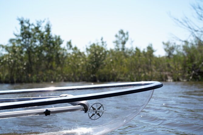 2-Hour Glass Bottom Guided Eco Tour in Flagler County-Small-group - The Experience in Detail