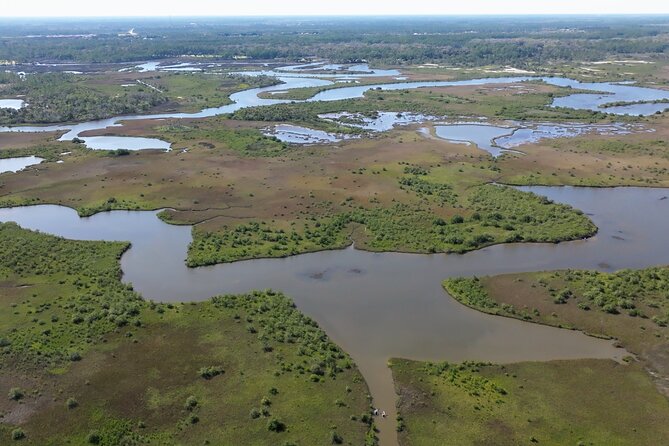 2-Hour Glass Bottom Guided Eco Tour in Flagler County-Small-group - What to Expect During the Tour