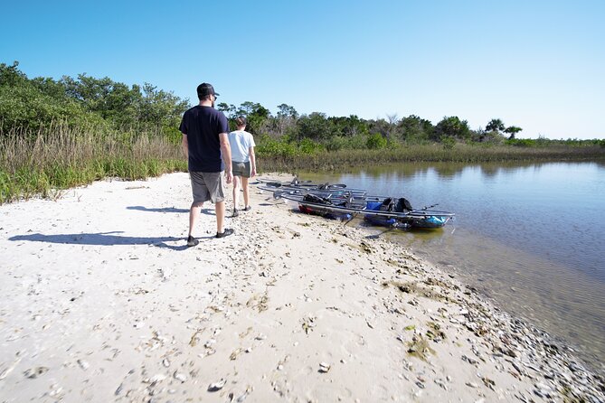 2-Hour Glass Bottom Guided Eco Tour in Flagler County-Small-group - Who Should Consider This Experience?