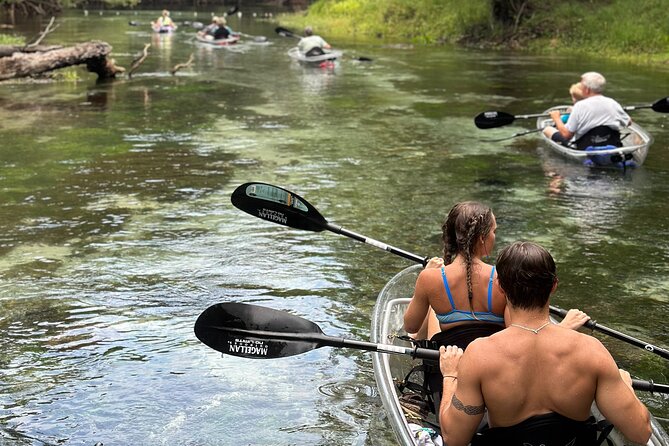 2 Hour Glass Bottom Guided Kayak Eco Tour in Gilchrist Blue - An In-Depth Look at the Gilchrist Blue Kayak Eco Tour