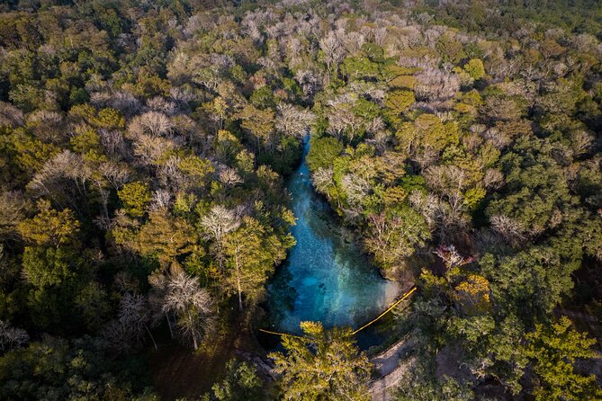 2 Hour Glass Bottom Guided Kayak Eco Tour in Gilchrist Blue - FAQ