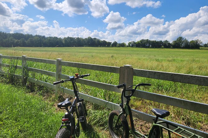 2 hour Guided E-Bike Tour: Greenery, Scenery and Mindfulness - Key Points