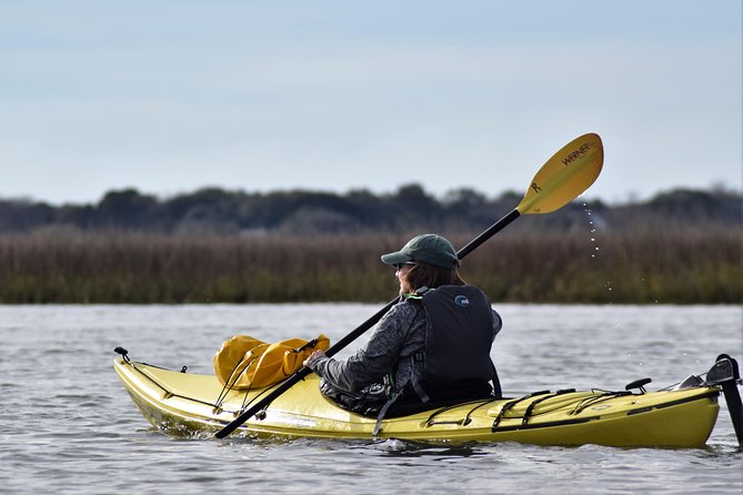 2-Hour Guided Kayak Eco Tour in Charleston - Why This Tour Stands Out