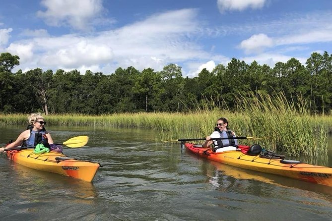 2-Hour Guided Kayak Eco Tour in Charleston - The Itinerary and What You Can Expect