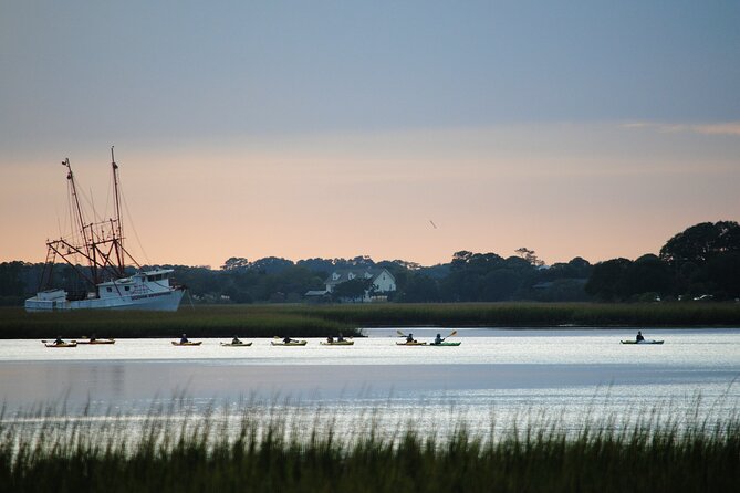 2-Hour Guided Kayak Eco Tour in Charleston - Possible Drawbacks or Considerations