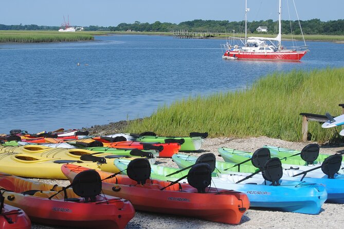 2-Hour Guided Kayak Eco Tour in Charleston - Who Will Love This Tour?