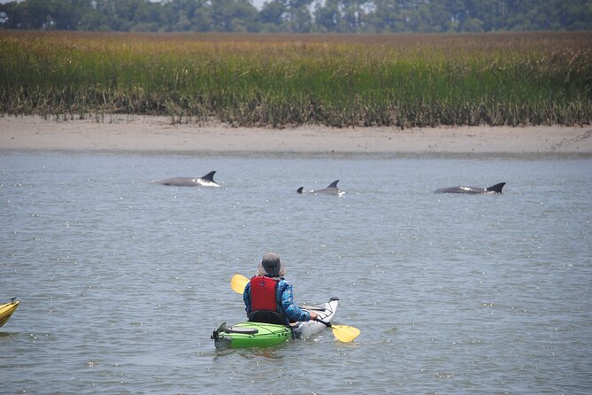 2-Hour Guided Kayak Eco Tour in Charleston - FAQ