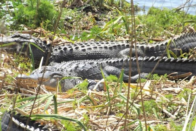 2-Hour Guided Segway Tour of Huntington Beach State Park in Myrtle Beach - Itinerary Breakdown