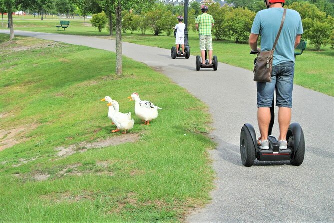 2-Hour Guided Segway Tour of Huntington Beach State Park in Myrtle Beach - The Sum Up