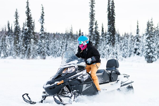 2-Hour Guided Snowmobile Tour in Fairbanks - Pricing and Value