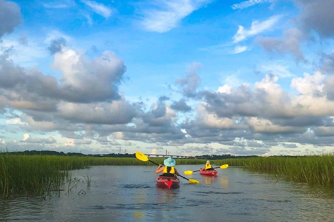 2-Hour Hilton Head Guided Kayak Nature Tour - Who Will Love This Tour?