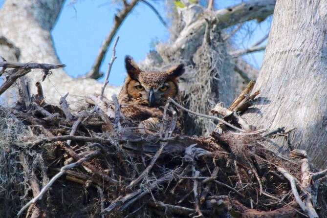 2 Hour Historical Wildlife Tour of the Chain of Lakes - Who Will Love This Tour?